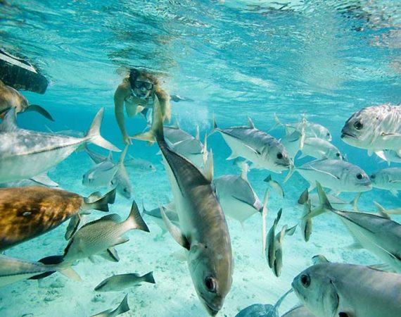 Ambergris Caye Belize Snorkeling Tours
